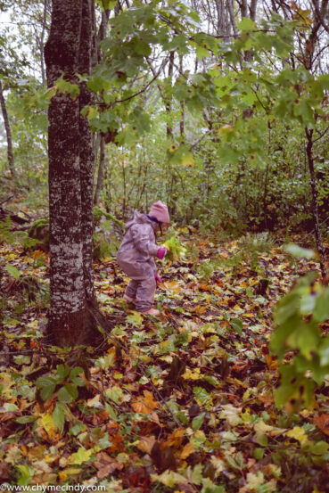 A Rainy Autumn Day - Aka Chymecindy